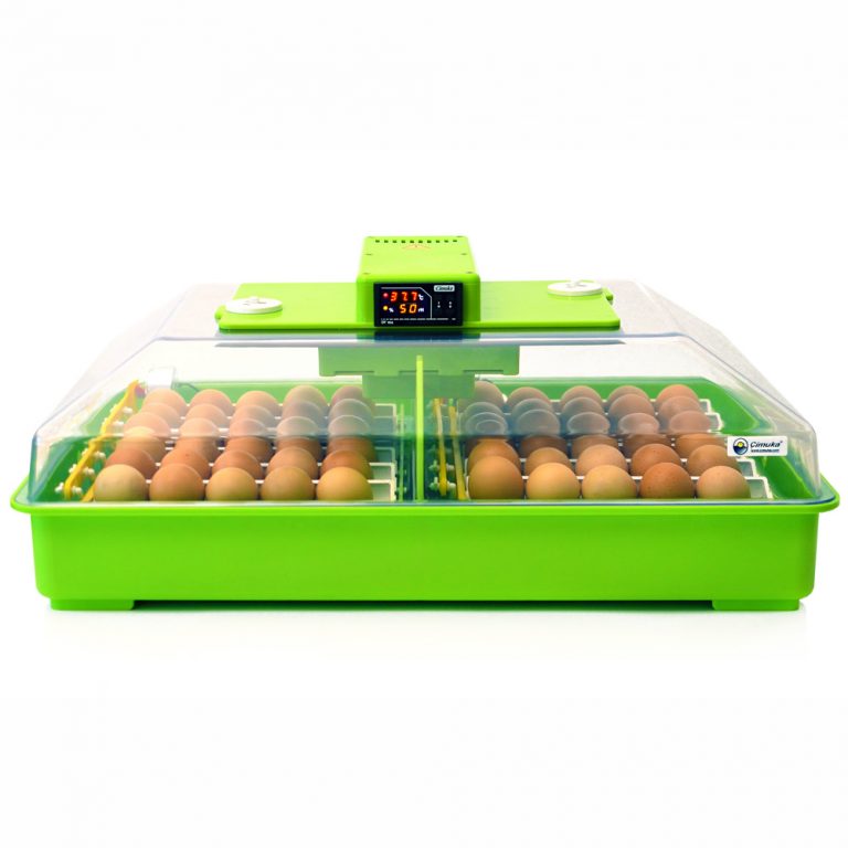 Incubator CIMUKA PD60SH - Inkubatori.lv